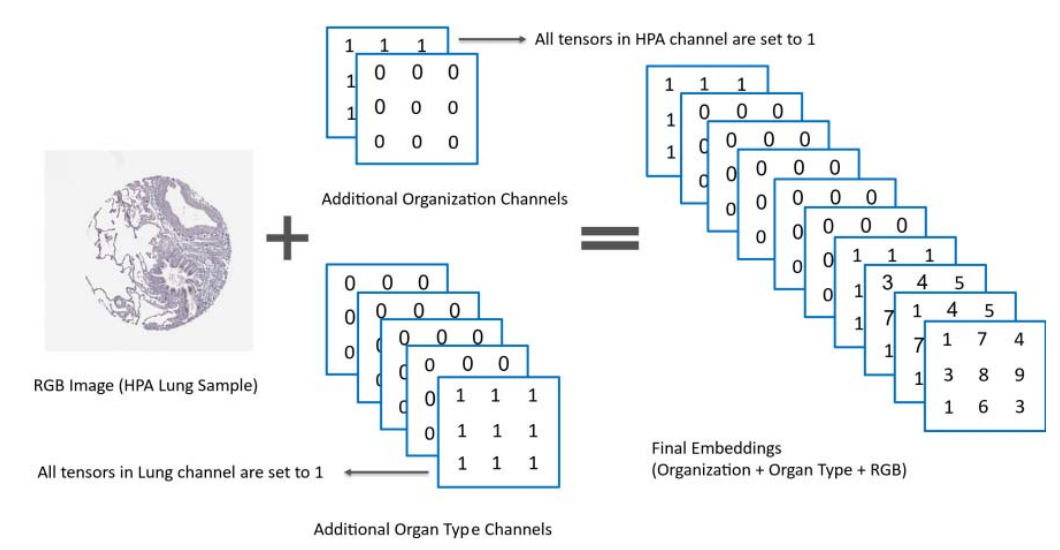 Dongheng Lin - Homepage